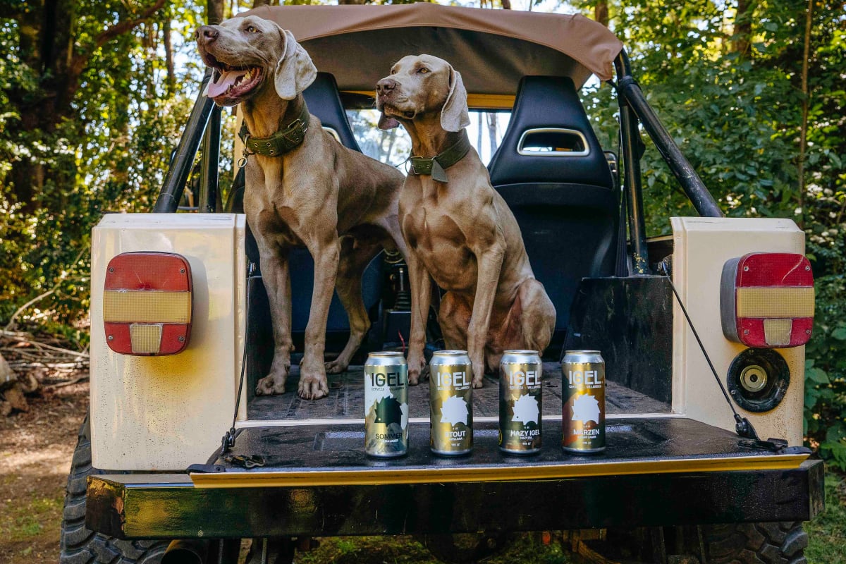 Sobre nostros | cervezaigel.cl