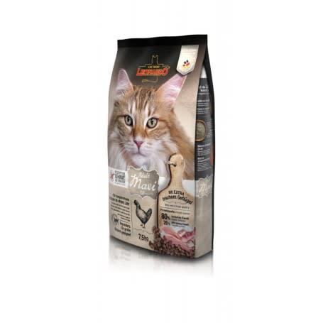 Leonardo Maxi Cat | Faunimals