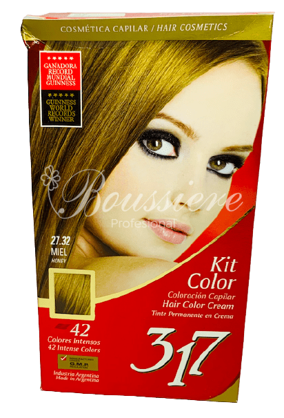 TINTURAS 317 | Distribuidora boussiere