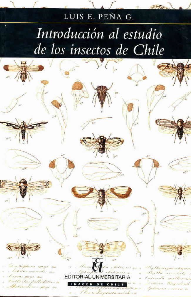 Introducción al estudio de los insectos de Chile, don Luis Peña ...