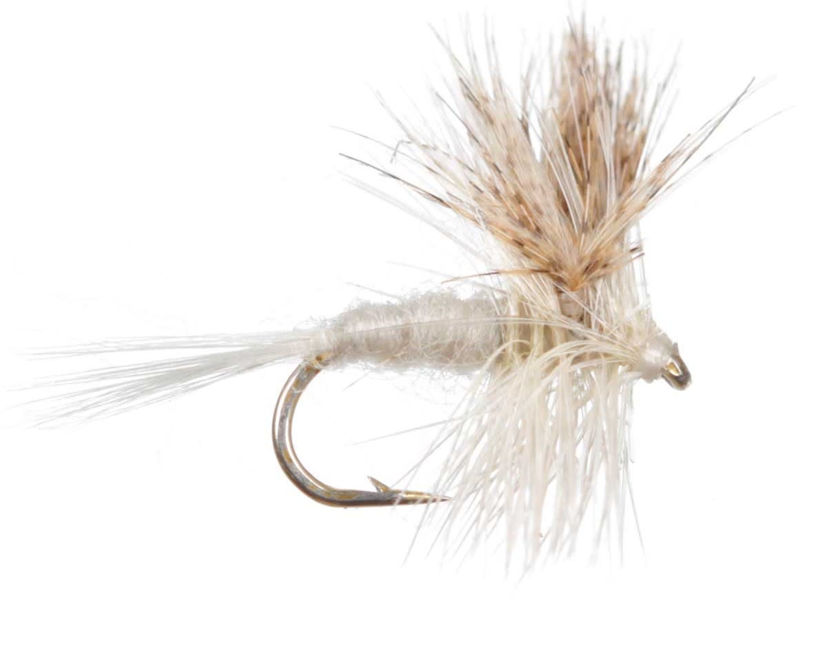 Dry Cahill Light | Onaflyfishing