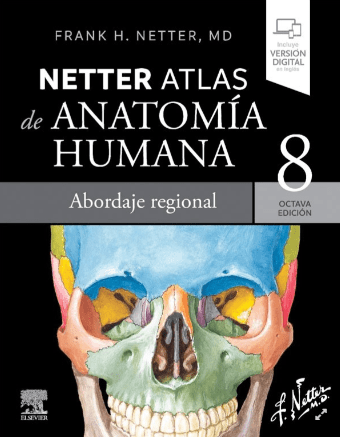 Netter atlas de Anatomia Abordaje Regional | Librería Alex Books