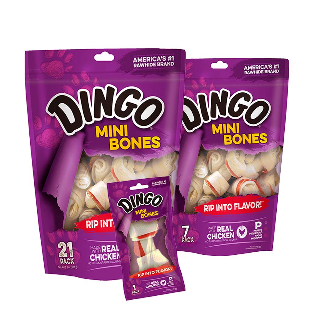 DINGO MINI BONE | GoPetChile