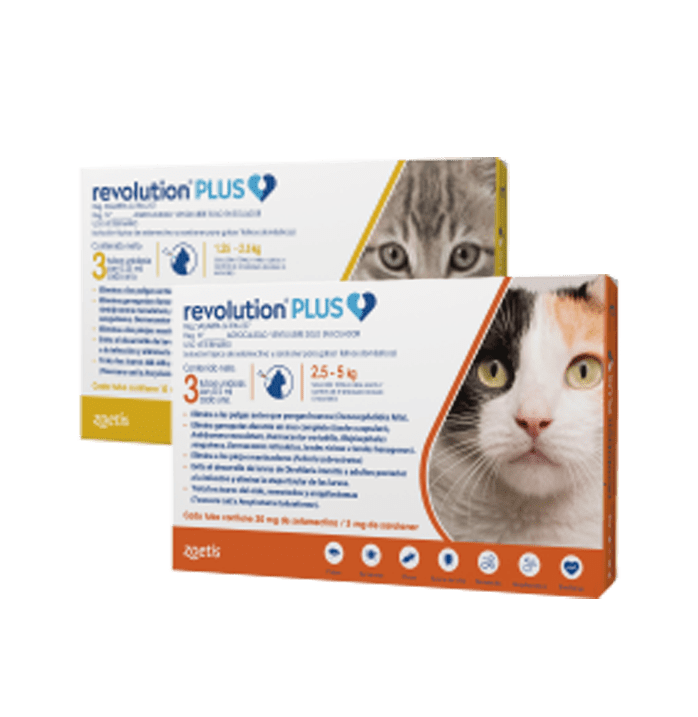 REVOLUTION PLUS 0.5 | GoPetChile