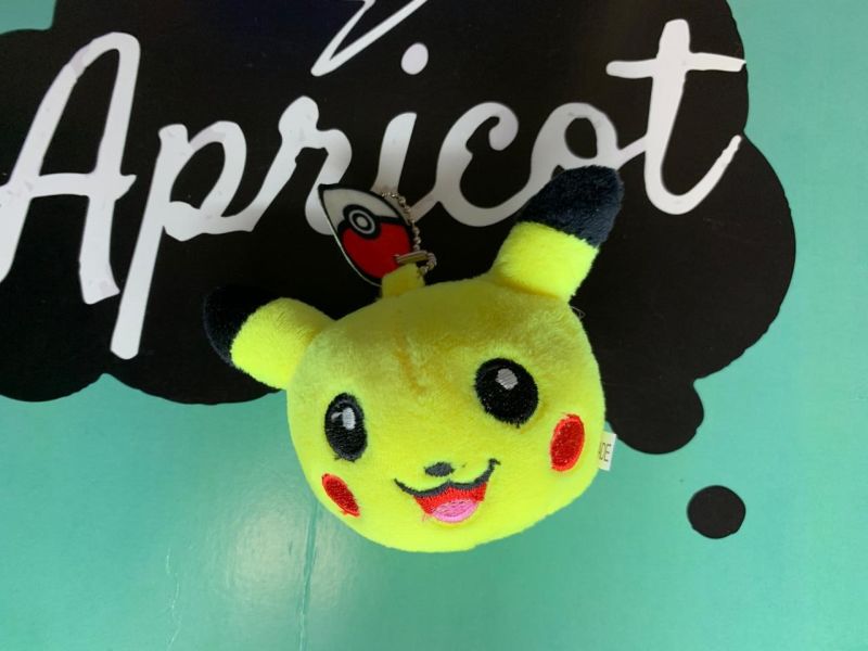 POKEMON | Apricot