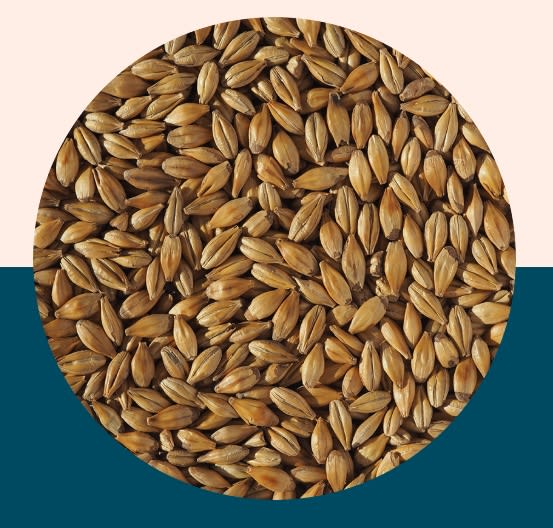 Cara Gold Malt - Crisp Malt | Insumos Prost