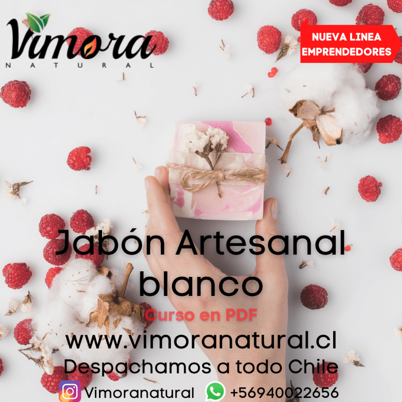 CURSOS Y KITS | Vimora