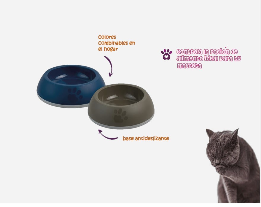 Basa plato Delice Cat 200 ml | Mister Pet