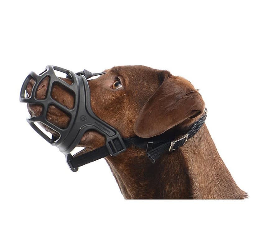 Buster Extreme dog Muzzle Talla 5 | Mister Pet