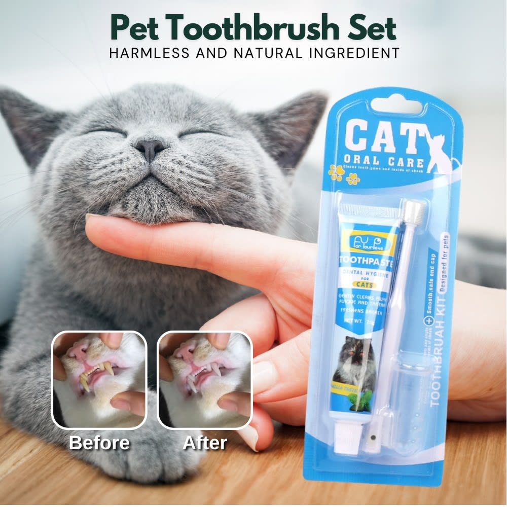 Puppylandia Kit dental gato | Mister Pet