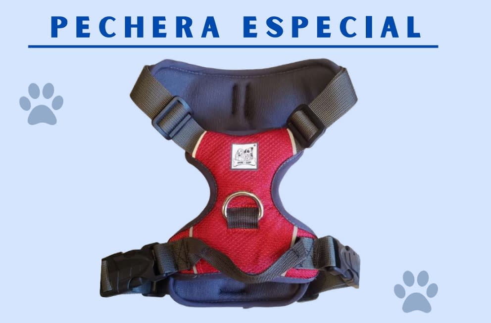 Duk Lup pechera especial DL Talla XL | Mister Pet