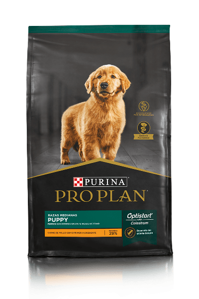 PRO PLAN | Nuevo Petgold