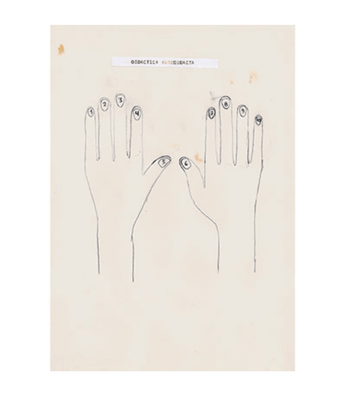 DIDACTICA AUTODIDACTA | Kimün Libros y Juegos