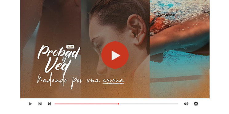 PROVAD Y VED 2024 | SEHS