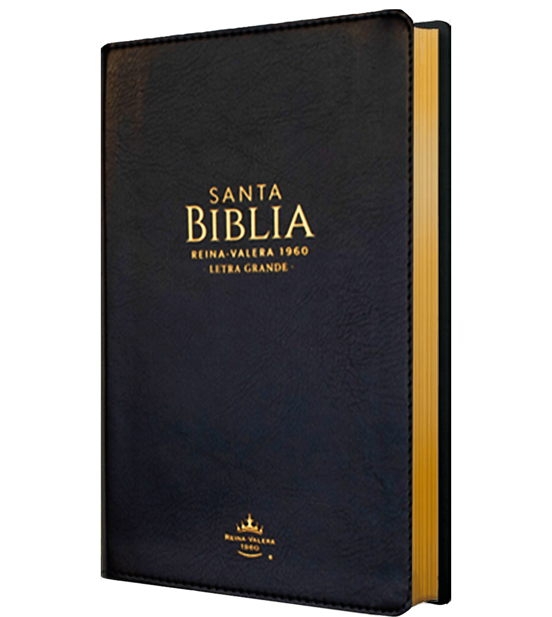 BIBLIA REINA VALERA 1960 - NEGRO | SEHS