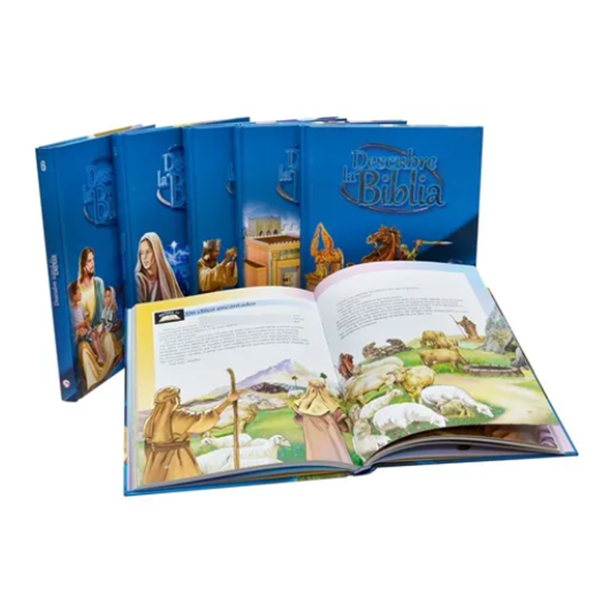 COLECCIÓN DESCUBRE LA BIBLIA 6 TOMOS | SEHS