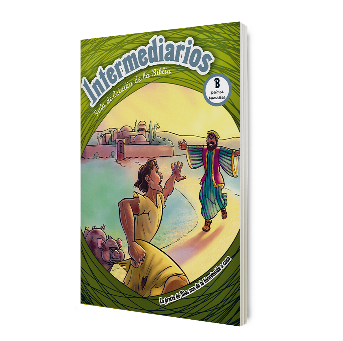 LECCIÓN INTERMEDIARIOS | SEHS Norte