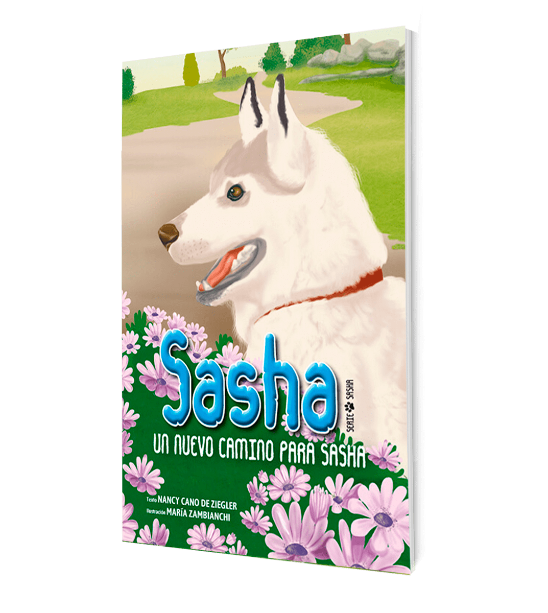 SASHA UN NUEVO CAMINO PARA SASHA | SEHS