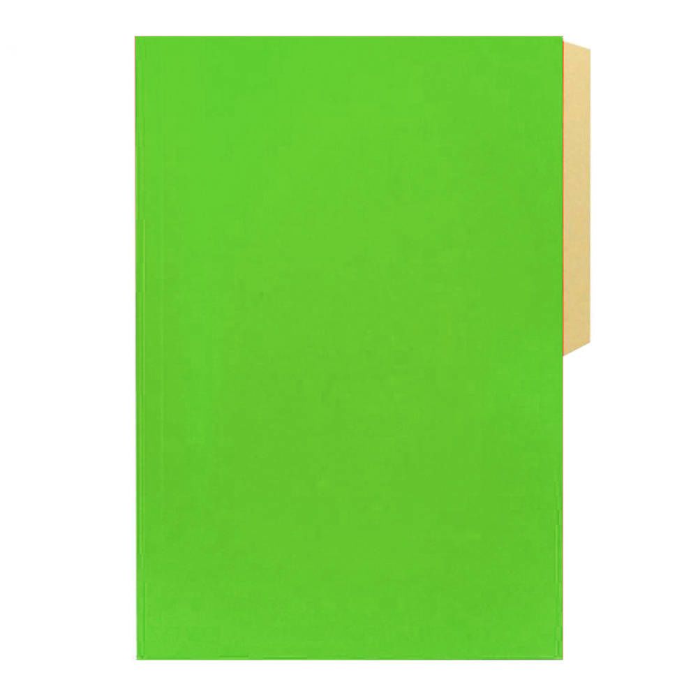 CARPETA PIGMENTADA VERDE | Aldo Carla