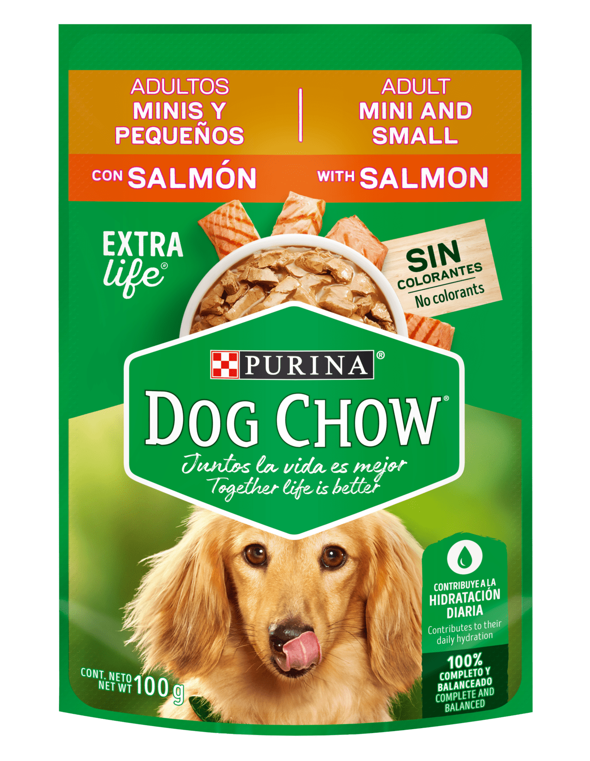 DOGCHOW POUCH ADT RZ PEQUEÑA SALMON 100 GR | Aldo Carla Pets