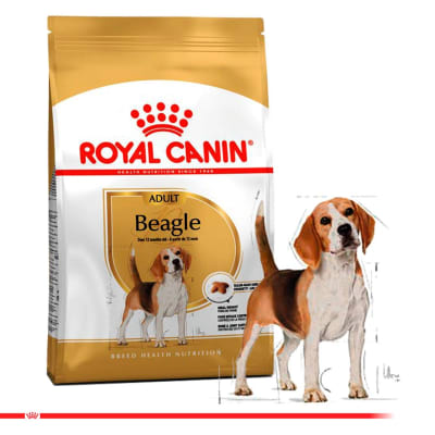 Royal Canin Beagle Adult | Perruqueria | Los mejores alimentos y ...