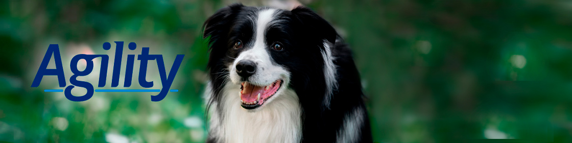 Agility Perro Adulto | Perruqueria | Los mejores alimentos y accesorios ...