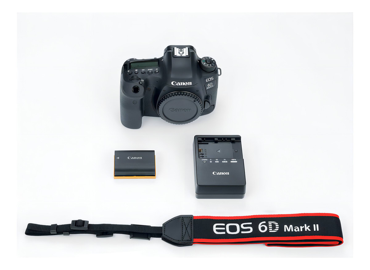Canon EOS 6D Mark II EF 24-105 mm | Moxi