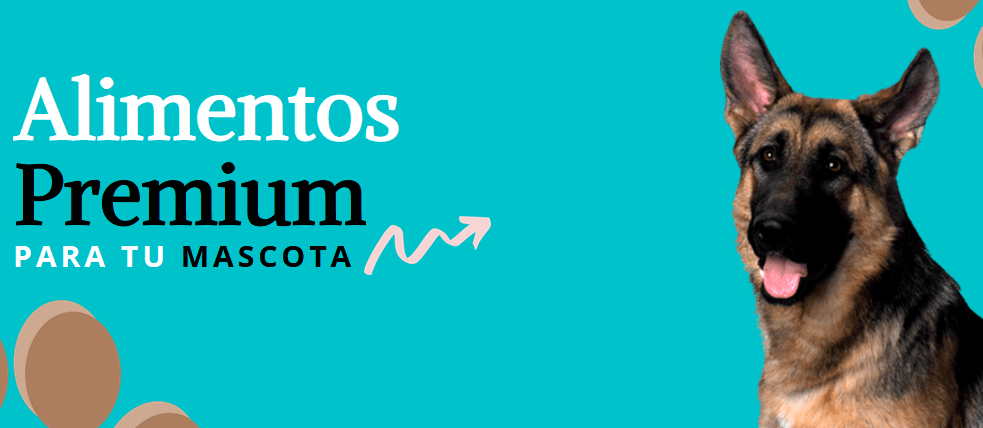 PETS LIFE VIÑA DEL MAR