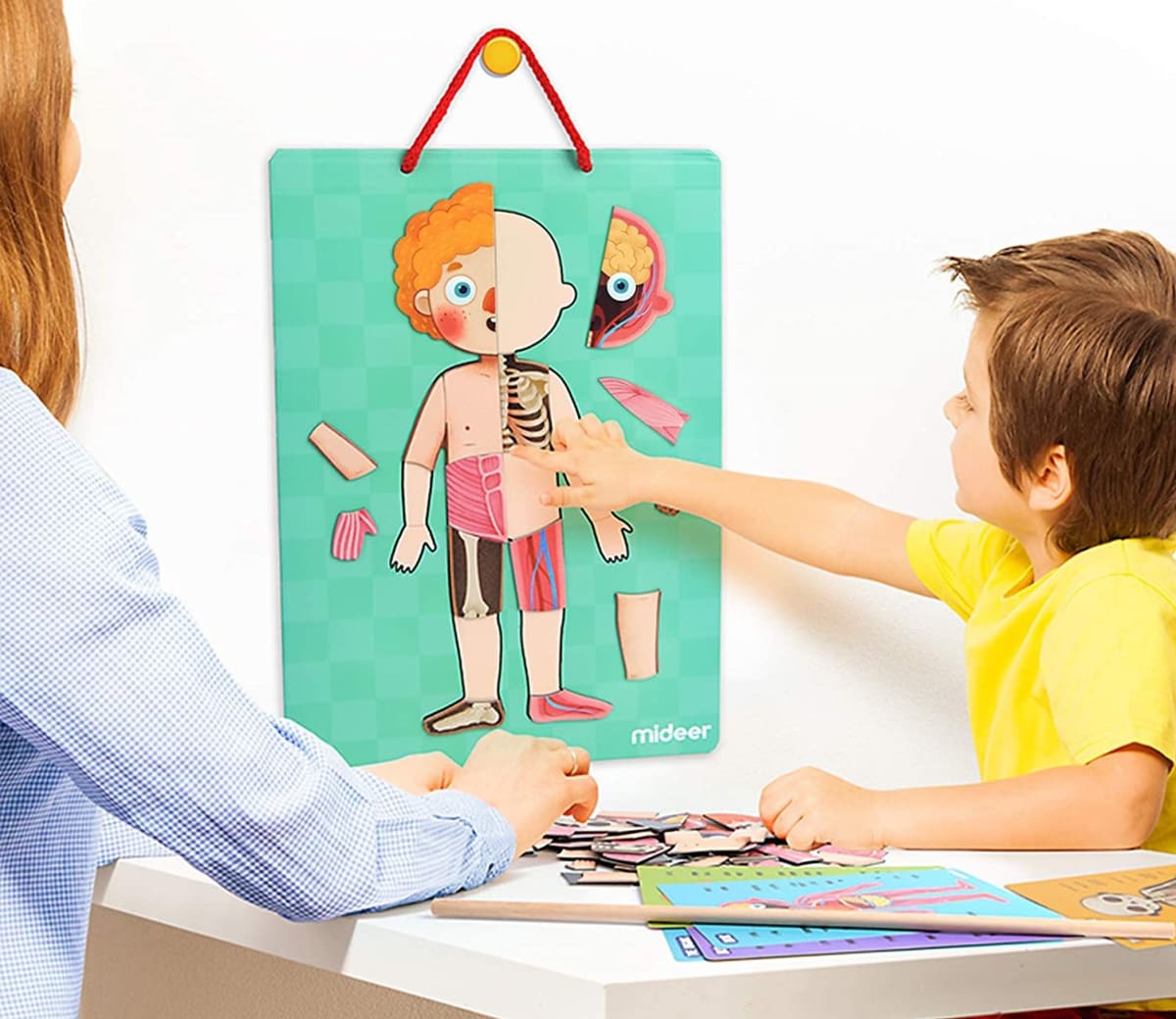 APRENDAMOS DEL CUERPO, JUEGO MAGNETICO | Aboc