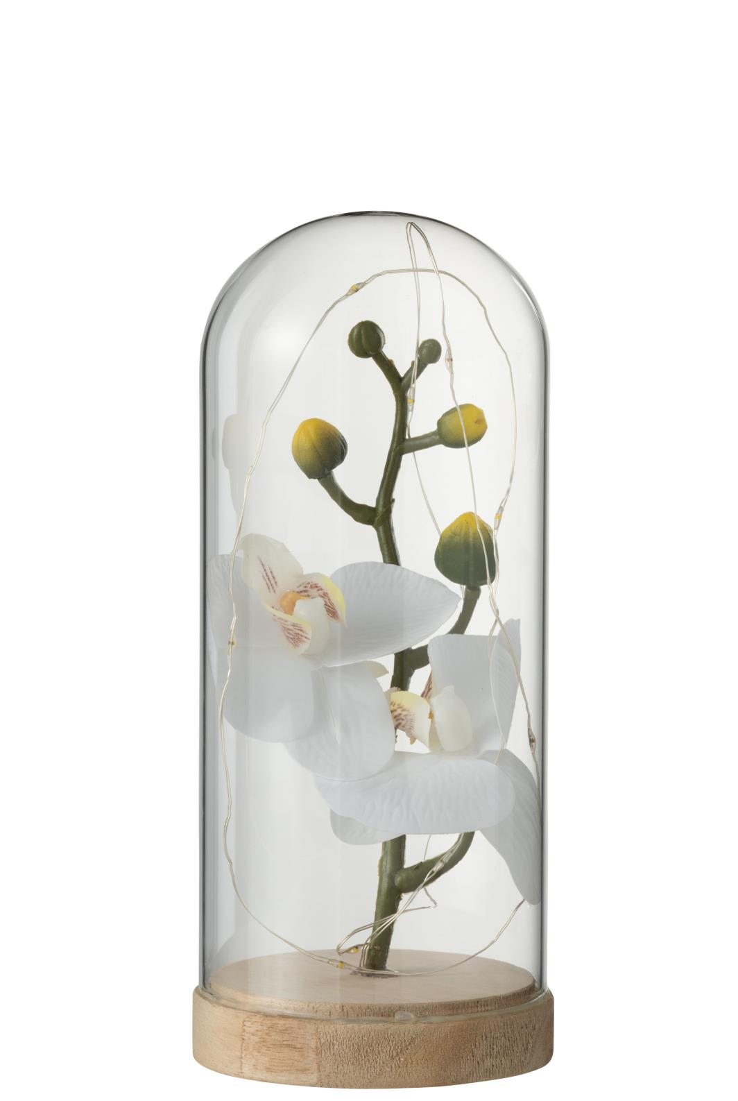 BELL JAR HIGH LED FLOWERS GLASS/WOOD WHITE/NATURAL SMALL | LA PETITE CABANE