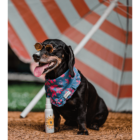 PROTECTOR SOLAR PERRO - COOL PET | ValdiPets | Veterinaria y Tienda ...