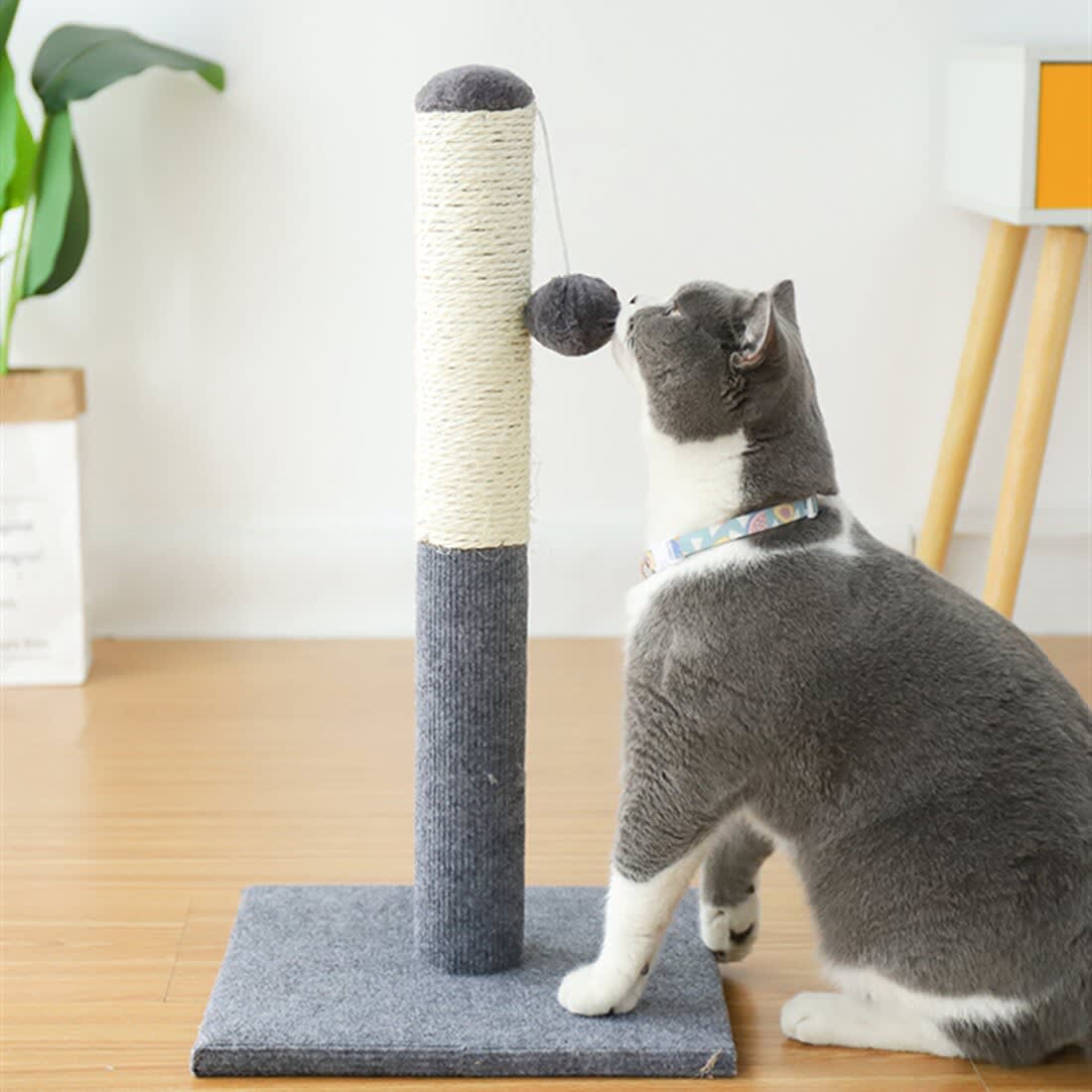 JUGUETE GATO - RASCADOR TUBO CON PELOTA | ValdiPets | Veterinaria y ...