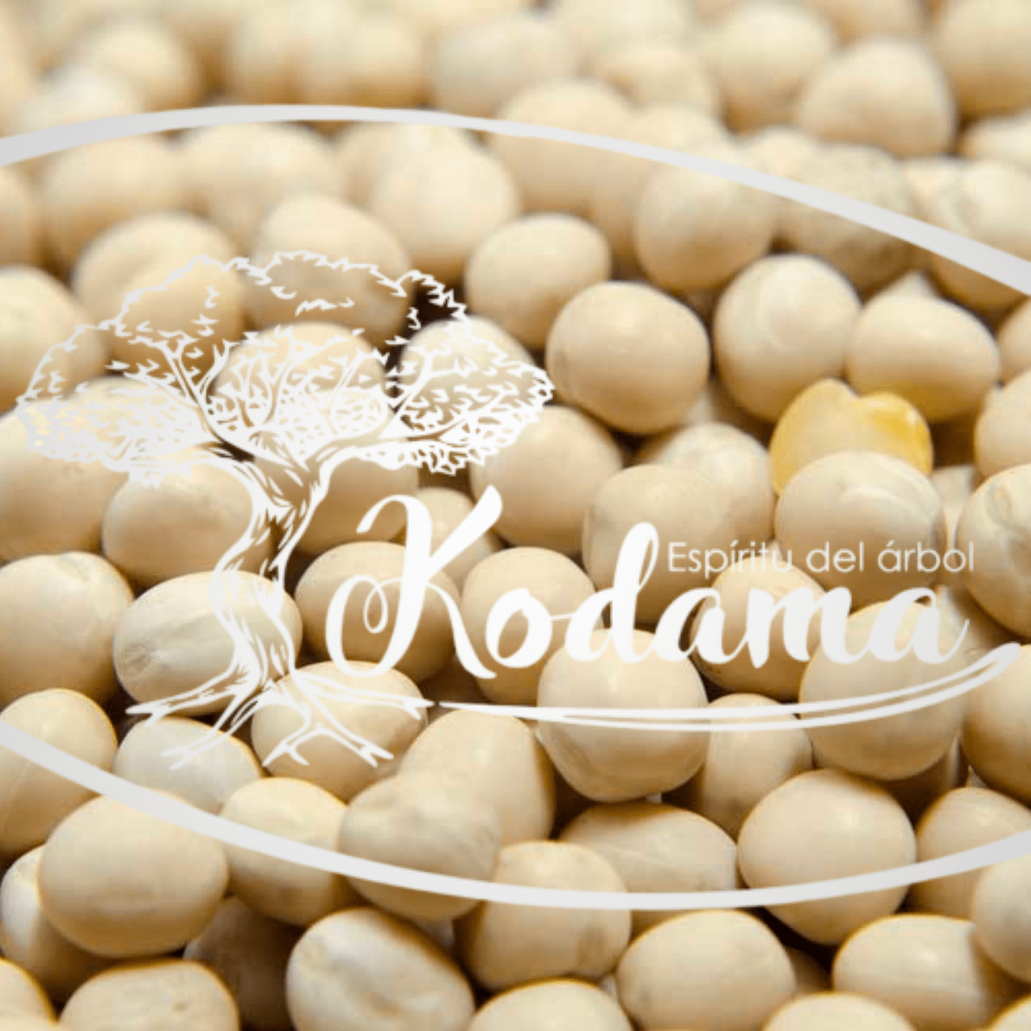 SEMILLAS ARVEJA BLANCA | Espacio Regenera