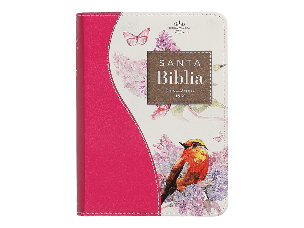 RENOVACION FUSCIA DISEÑO PAJARITO | Libreria El Peregrino