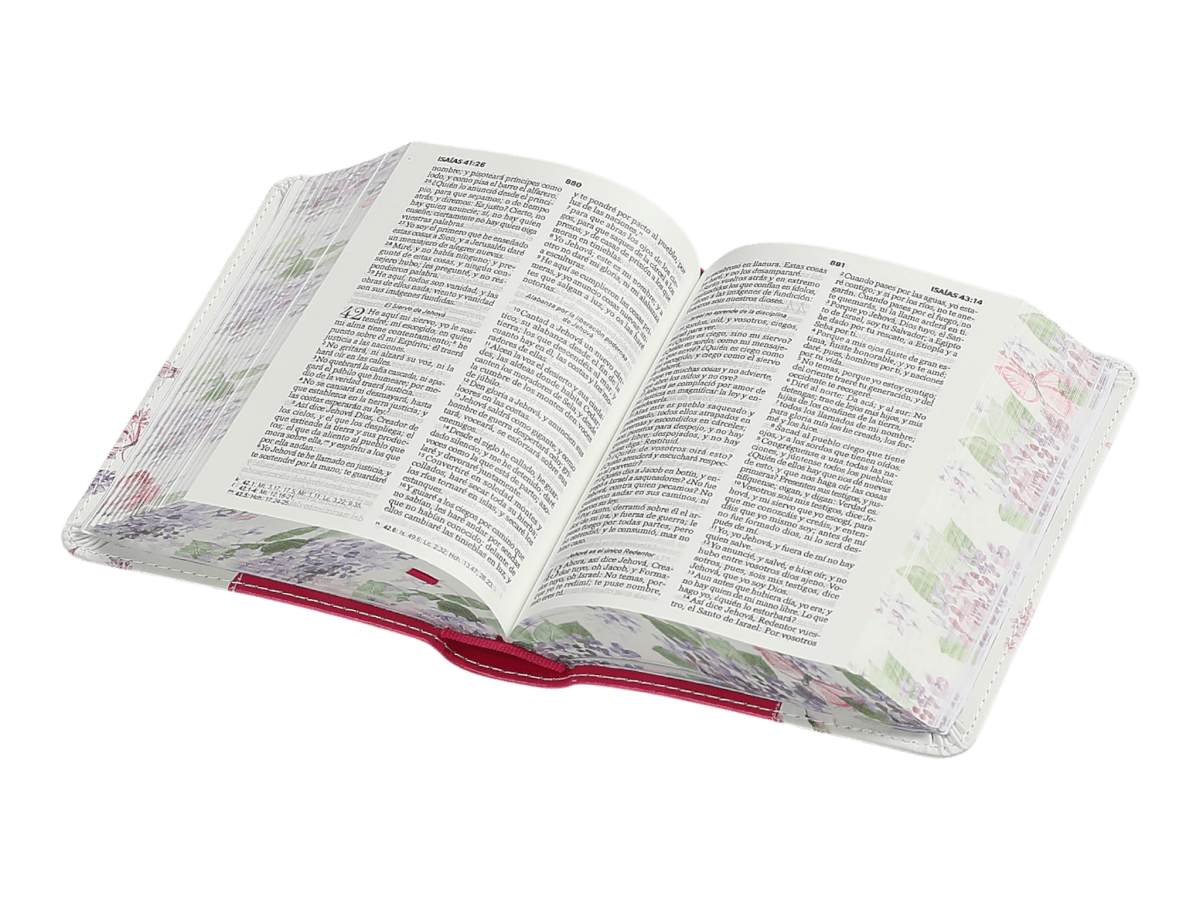 RENOVACION FUSCIA DISEÑO PAJARITO | Libreria El Peregrino