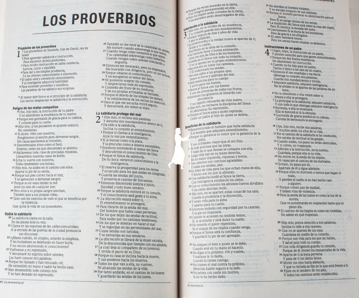 NUEVA BIBLIA LATINOAMERICANA | Libreria El Peregrino