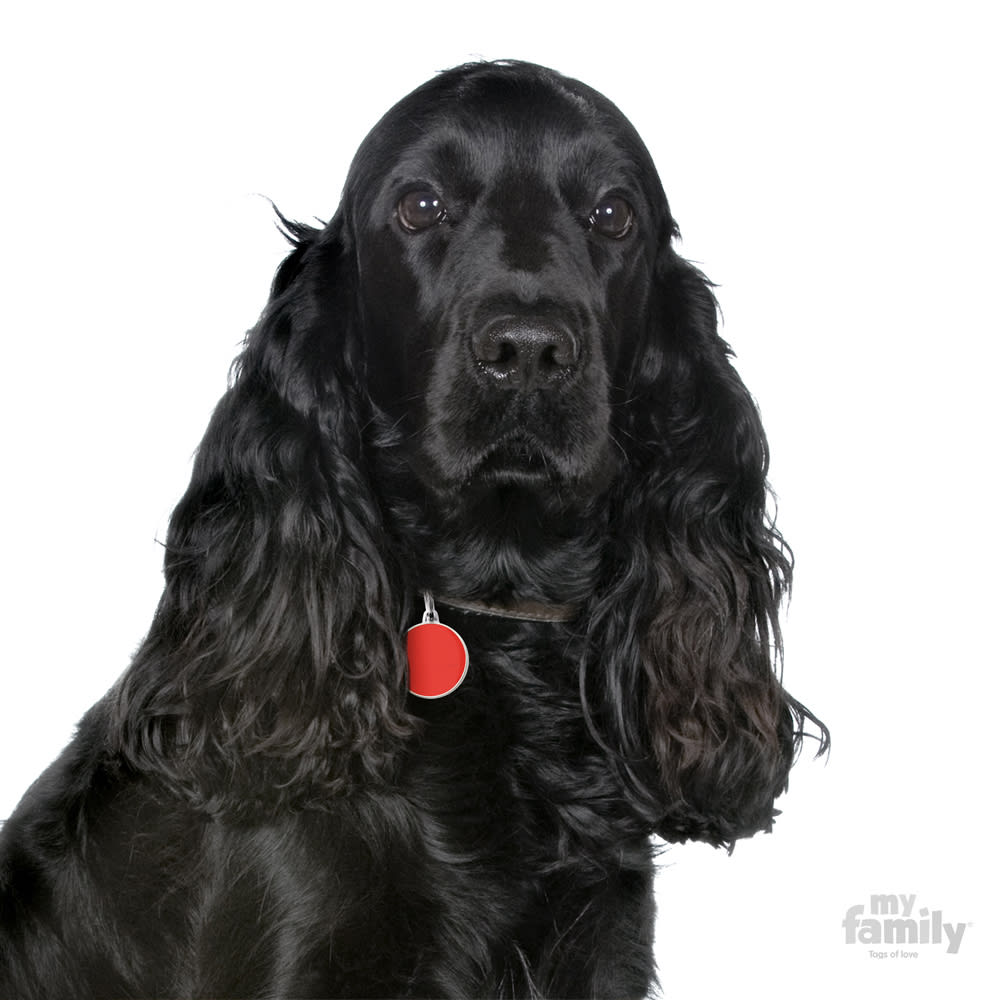 MY FAMILY REFLECTIVE BIG RED CIRCLE | Pet Mas