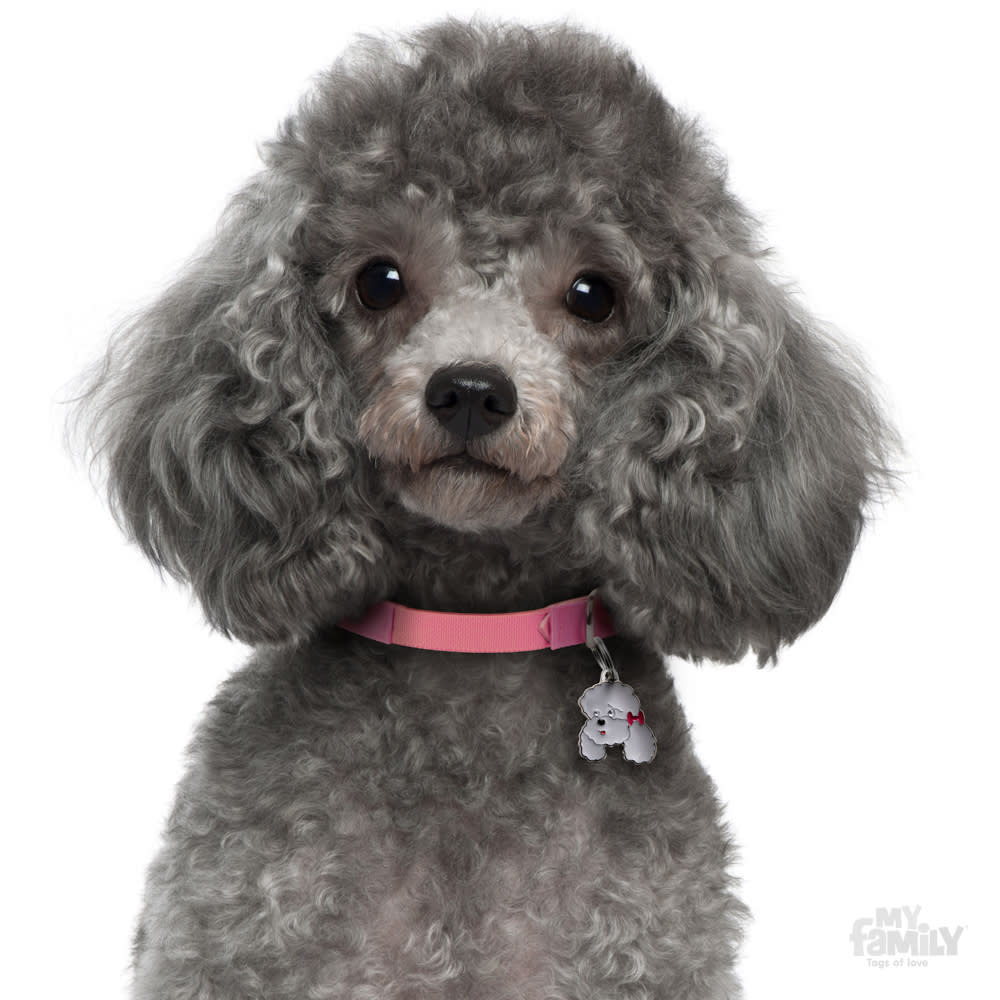 MY FAMILY FRIENDS GREY POODLE | Pet Mas