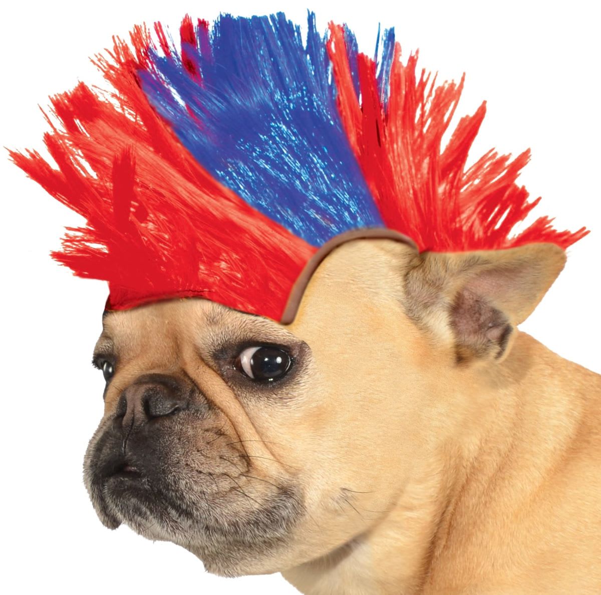 RED/BLUE MOHAWK WIG PET | Pet Mas