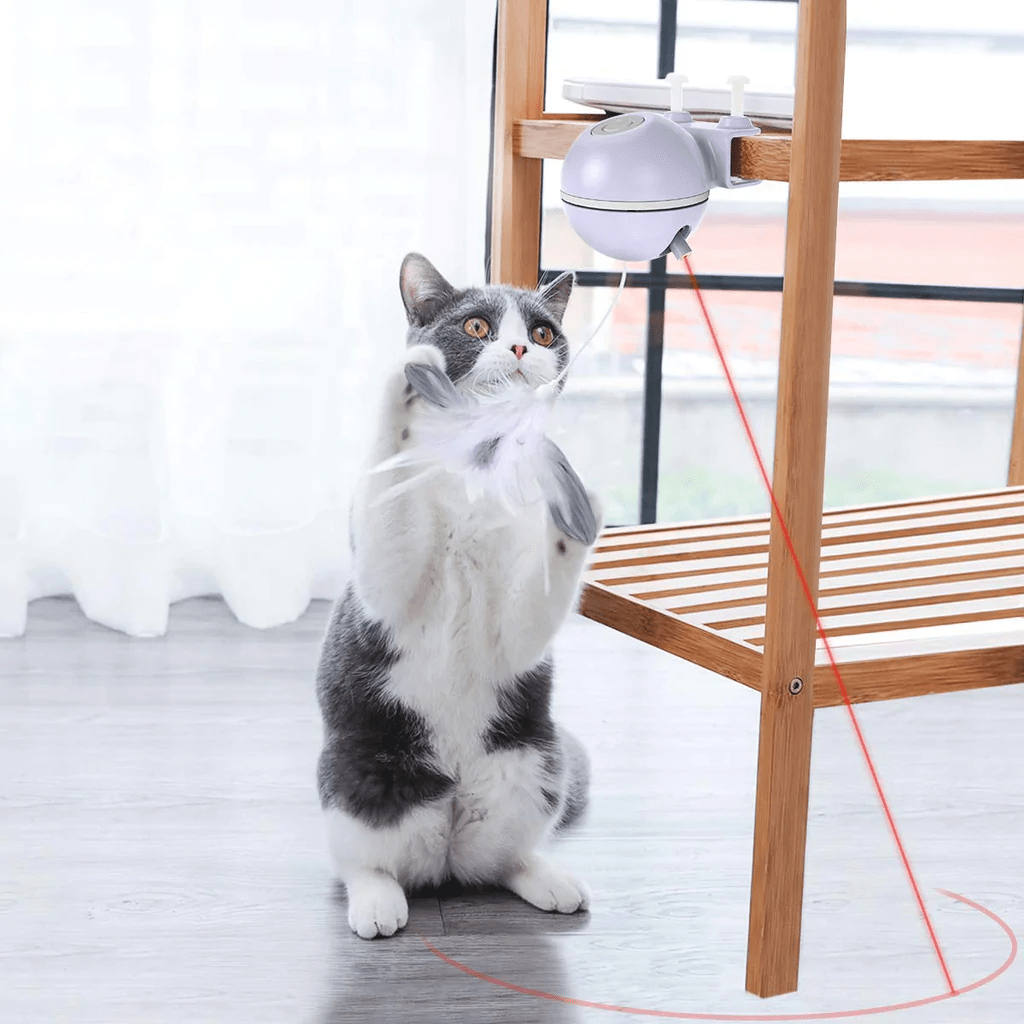 JUGUETE ELECTRONICO PARA GATO CON LASER | Pet Mas