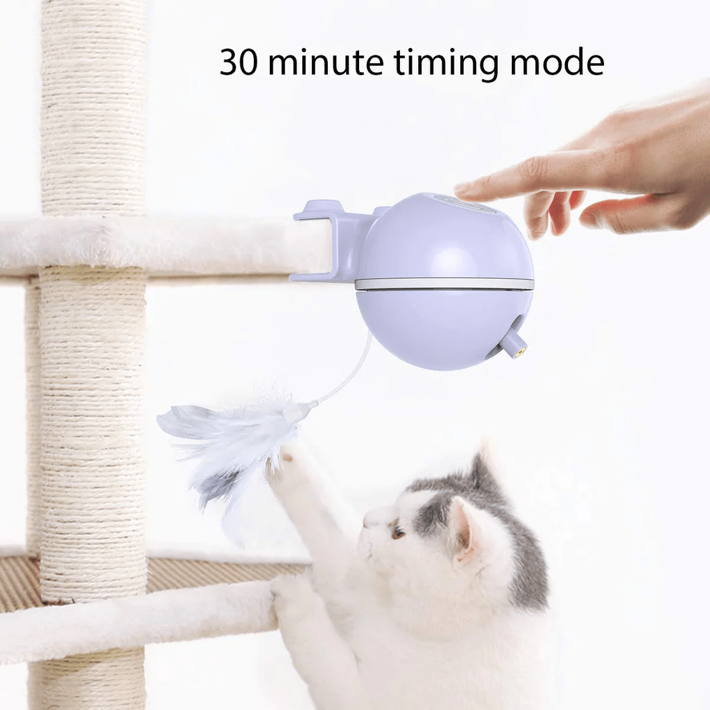 JUGUETE ELECTRONICO PARA GATO CON LASER | Pet Mas
