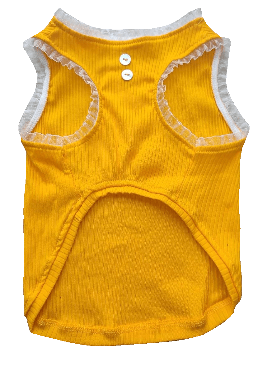 MONCHERI BIVIDI COLOR AMARILLO PALILLO HEMBRA | Pet Más