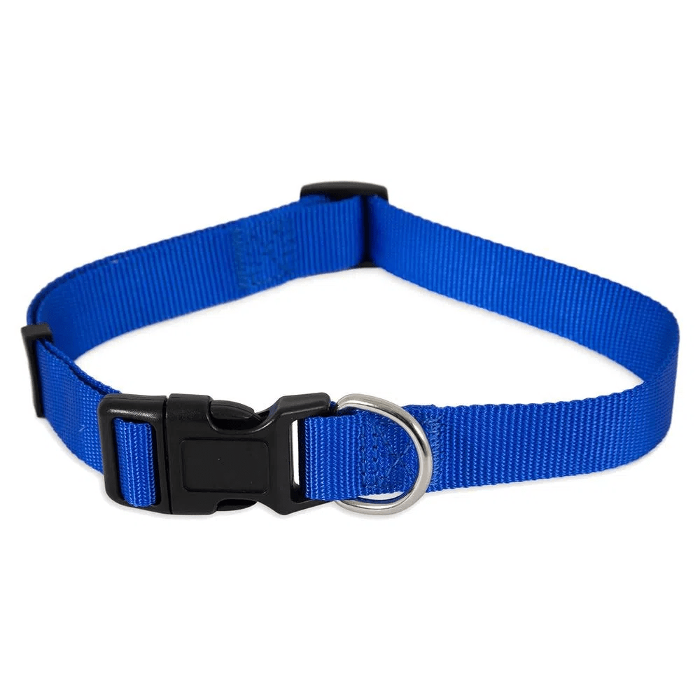 PETMATE COLLAR AJUSTABLE AZUL | Pet Más
