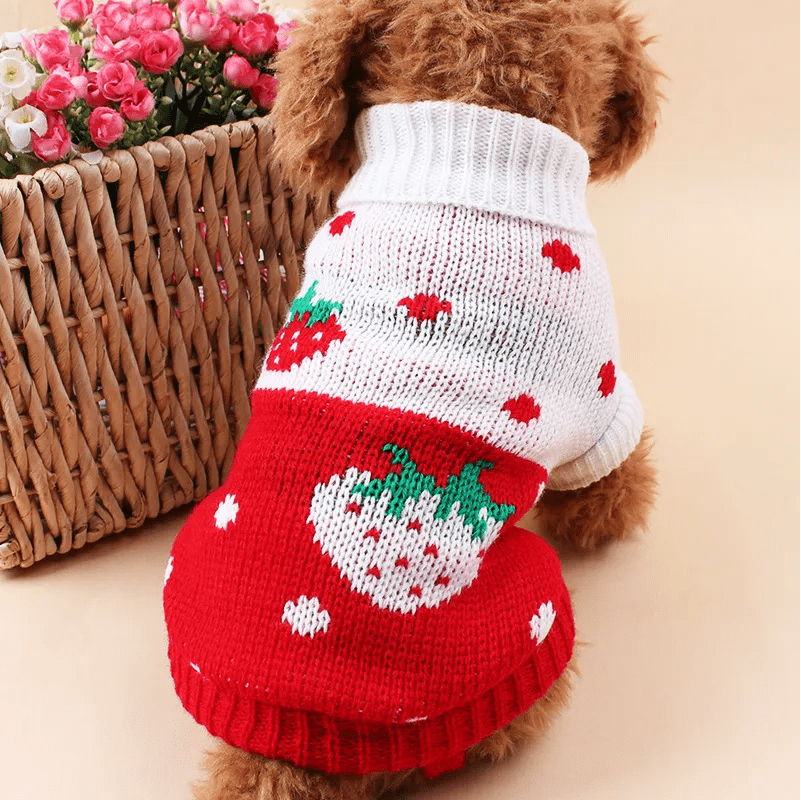 CHOMPA ROJA TEJIDA CON DISEÑO DE FRESA | Pet Más