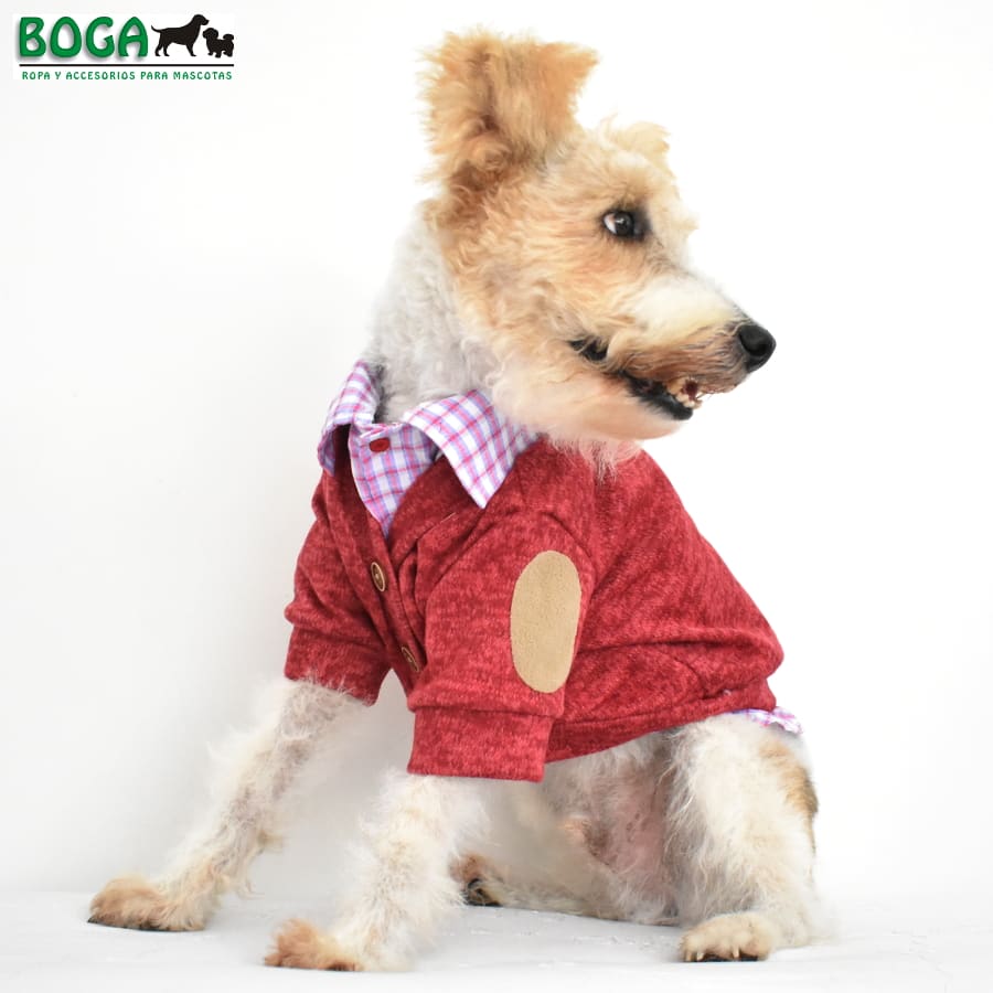 BOGA CHOMPA ROJA Y CAMISA (MACHO) | Pet Más