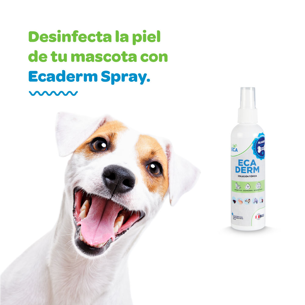 ECADERM SOLUCIÓN TÓPICA | Pet Más