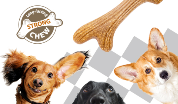 GIGWI DOG CHEW WOODEN ANTLER | Pet Más