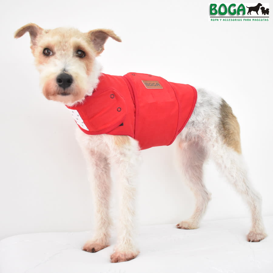 BOGA FAJA RELAJANTE ROJO-XS | Pet Más