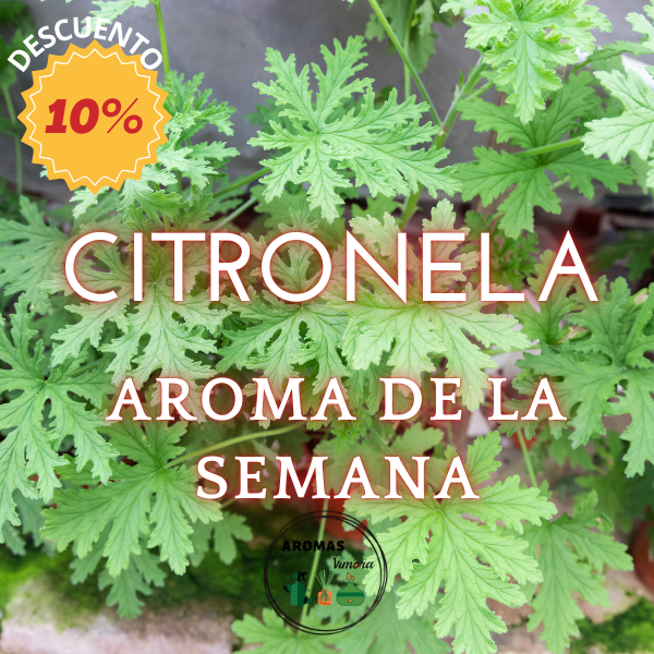 Aromas Vimora