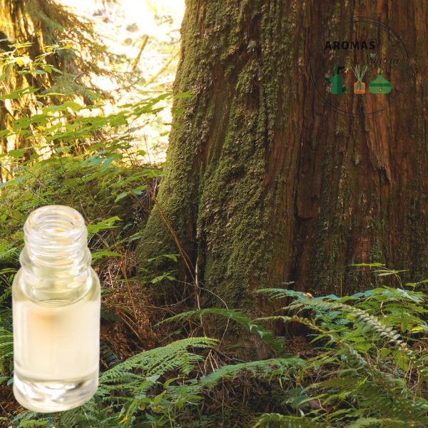 AROMA CEDRO | Aromas Vimora